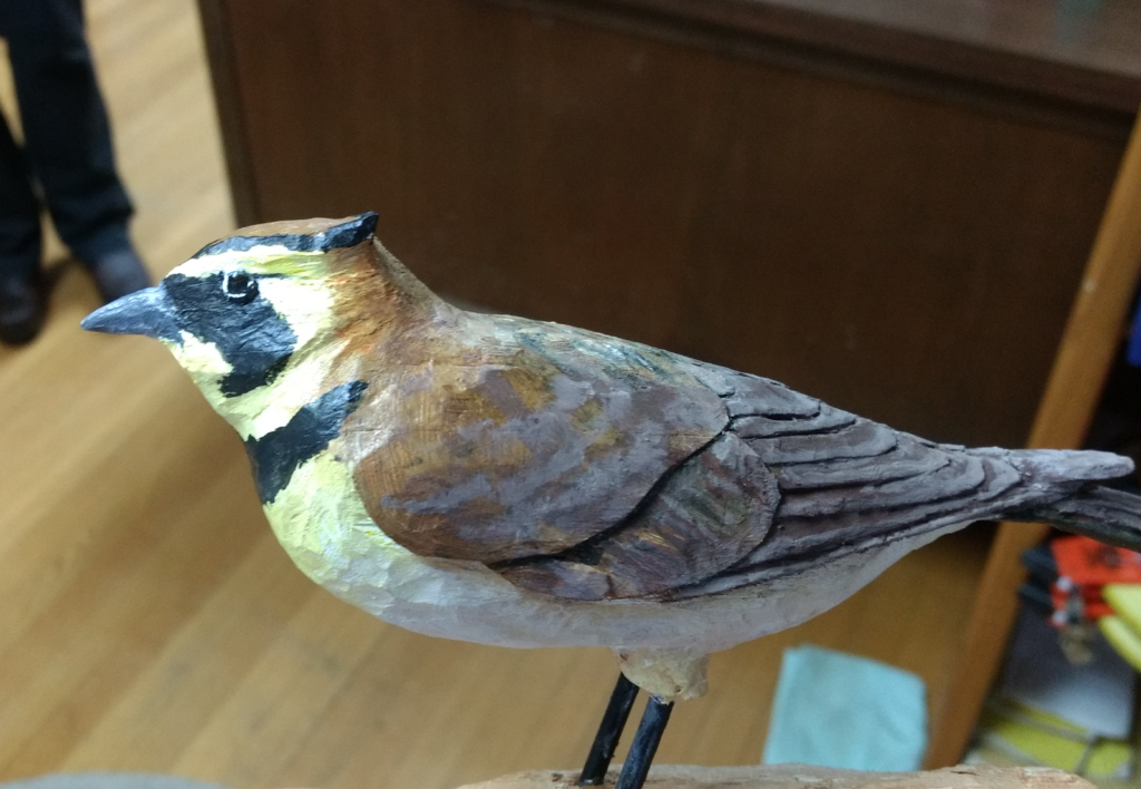 Federally Threatened Streaked Horned Lark Chicks Hatch - Chintimini ...