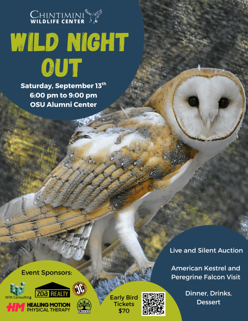 Wild Night Out - Chintimini Wildlife Center